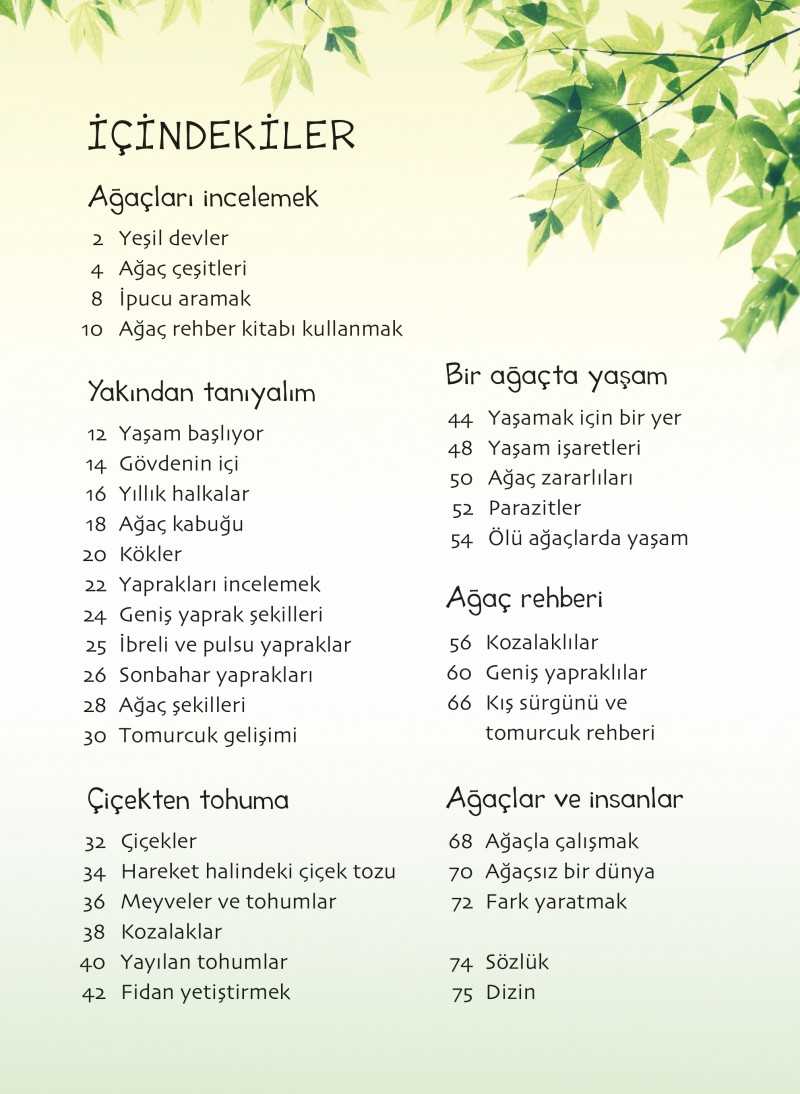Doğa - Ağaçlar (Laura Howell) Satın Al | TÜBİTAK Popüler Bilim Yayınları