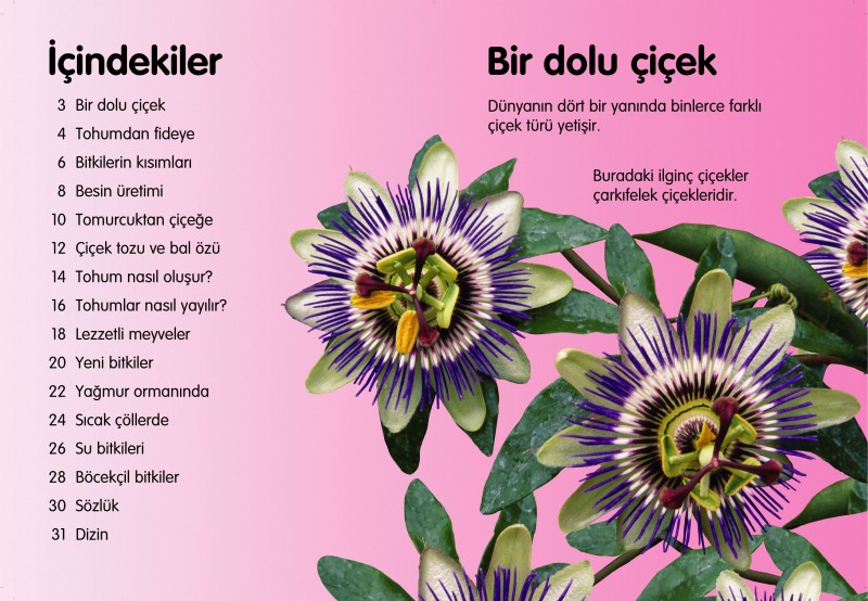 İlk Okuma - Bitkiler Nasıl Büyür? (Emma Helbrough) Satın Al | TÜBİTAK Popüler Bilim Yayınları