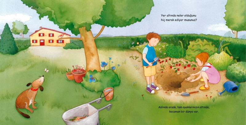 Yer Altında (Anna Milbourne,Serena Riglietti) Satın Al | TÜBİTAK ...