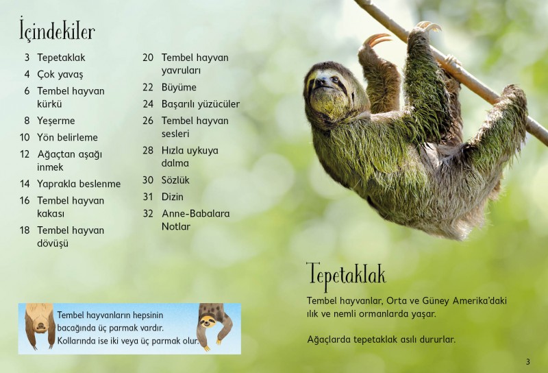 İlk Okuma - Tembel Hayvanlar