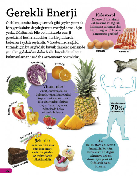 Keşfedin! İnsan Vücüdu