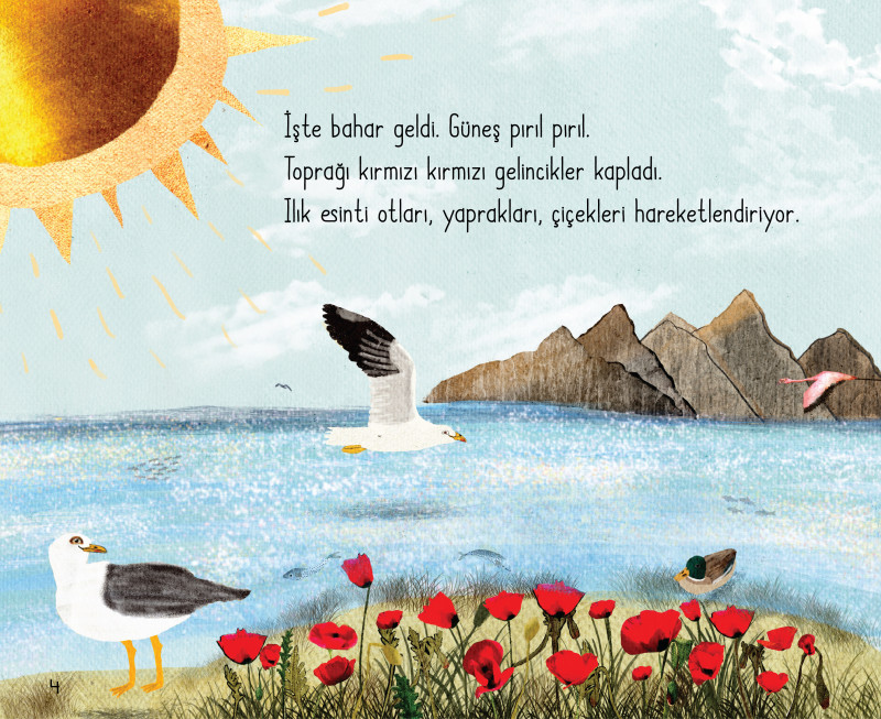 İnci Kefali