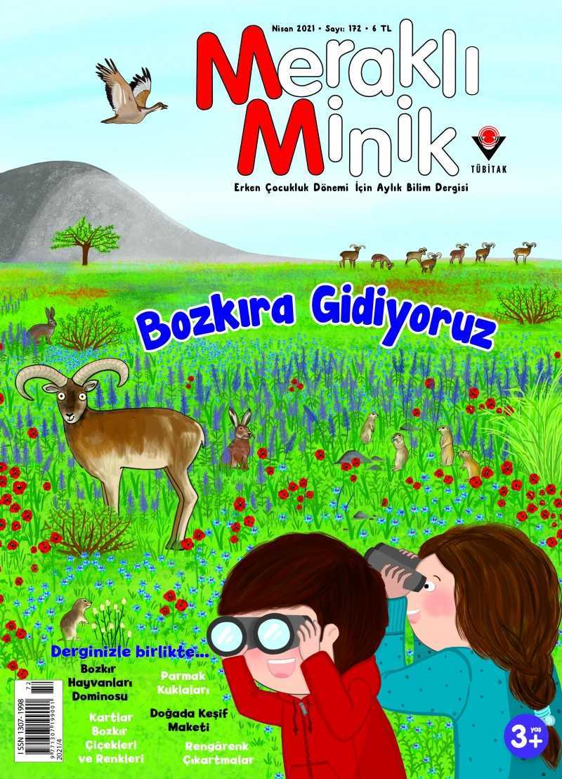 Meraklı Minik